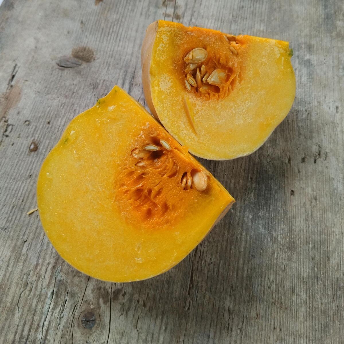 Calabaza moscada 'Musquée de Provence' (Cucurbita moschata) semillas