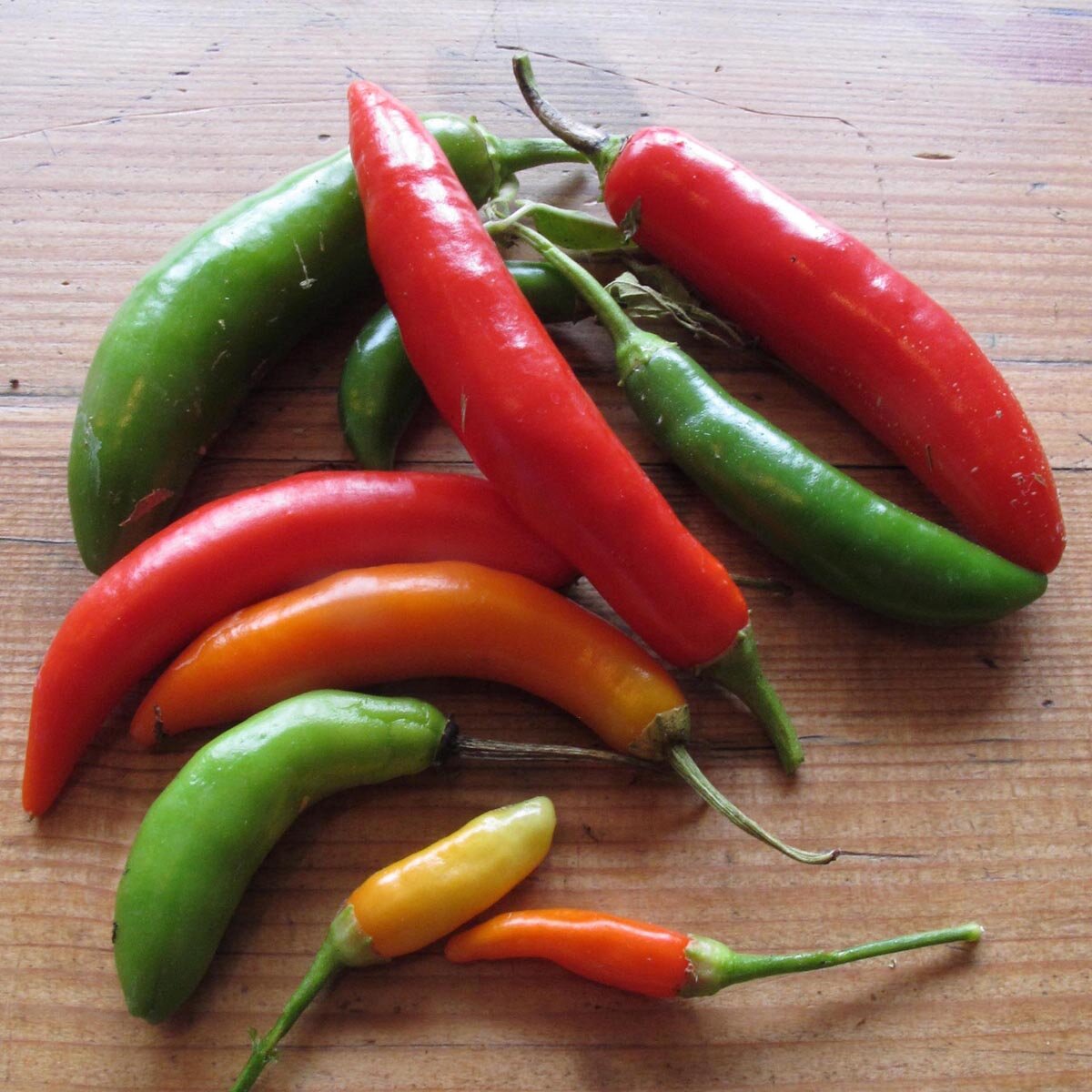 Chile Tabasco (Capsicum frutescens) - aprox. 10 semillas