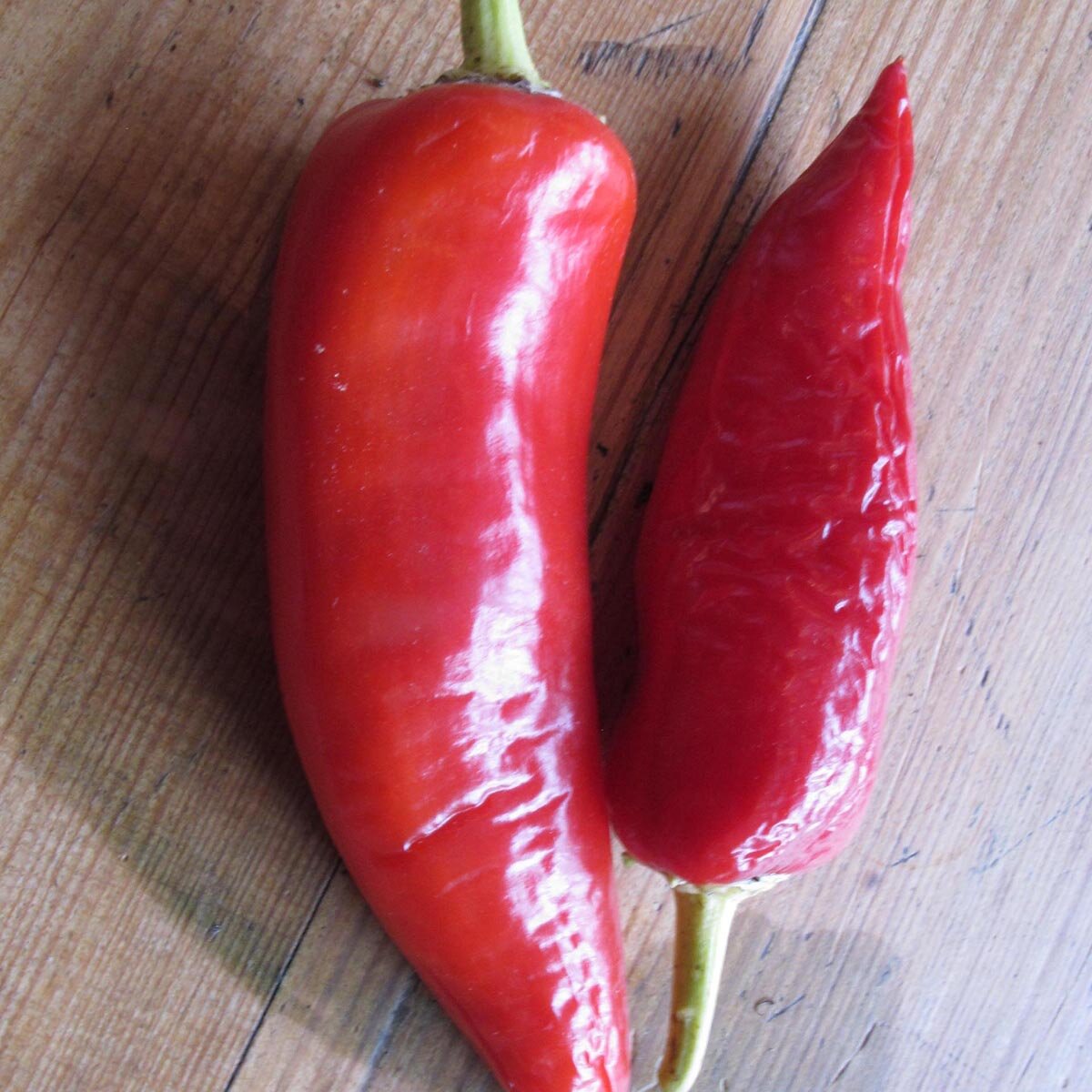 Chile húngaro de cera 'Hungarian Hot Wax' (Capsicum annuum) orgánico ...